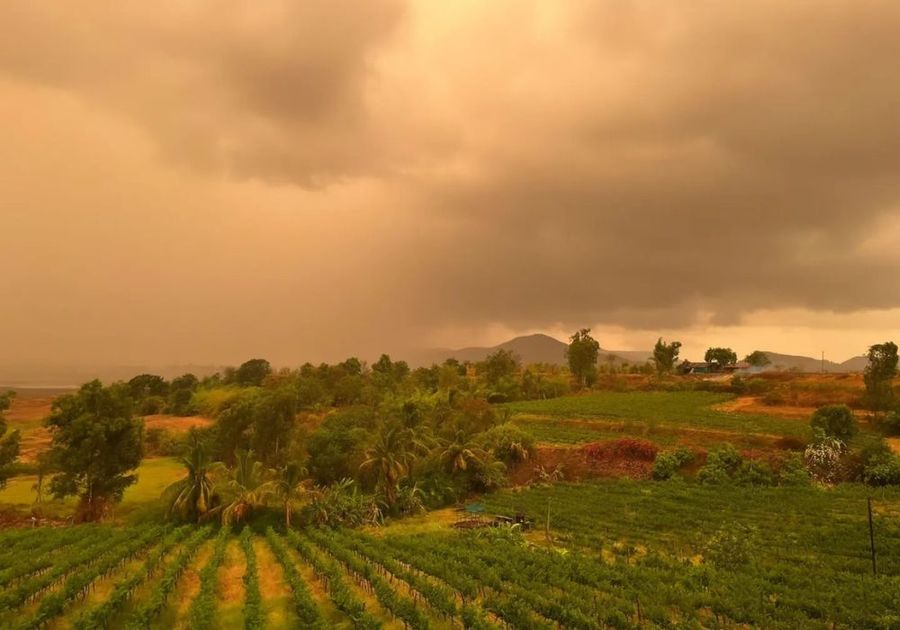 A Wine Lover's Guide To Nashik, 'India's Napa Valley'