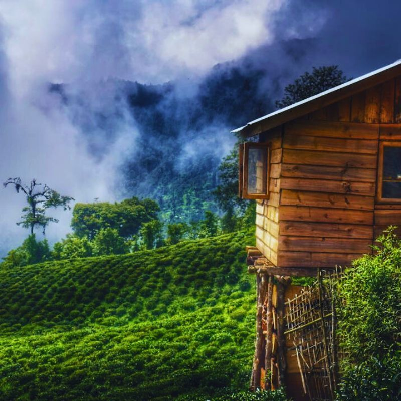 Jawai Bandh Travel Guide: By Air, By Road, By Train