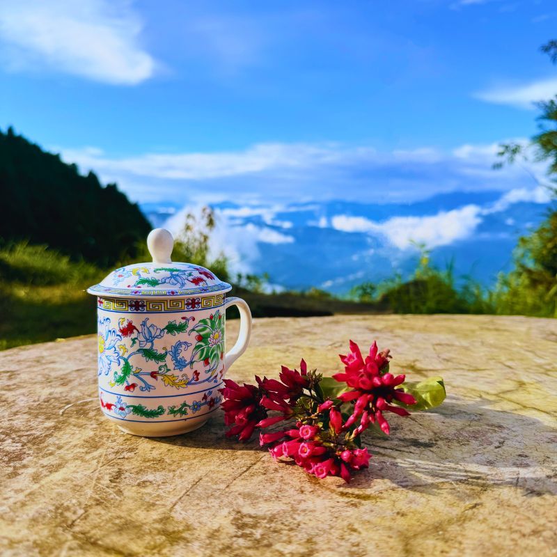 Jawai Bandh Travel Guide: By Air, By Road, By Train