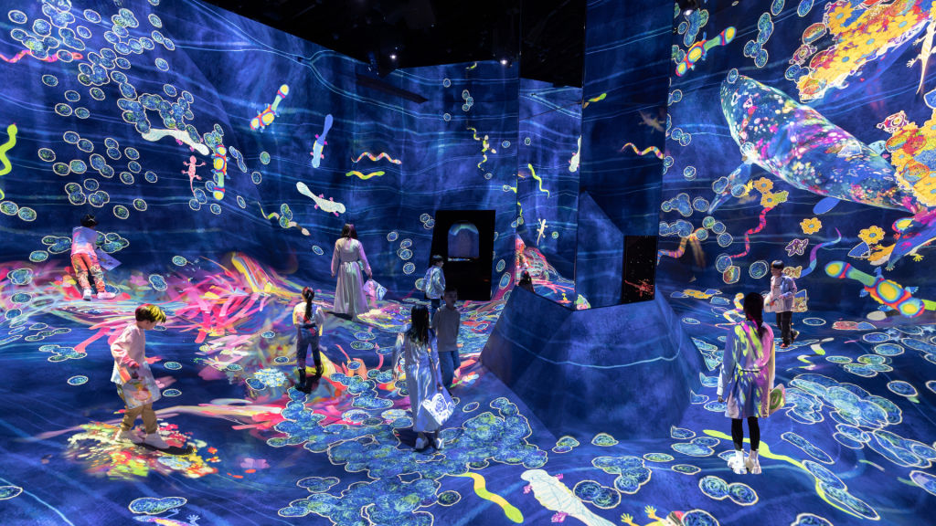 First Time In Tokyo? Here’s Where You Should Go