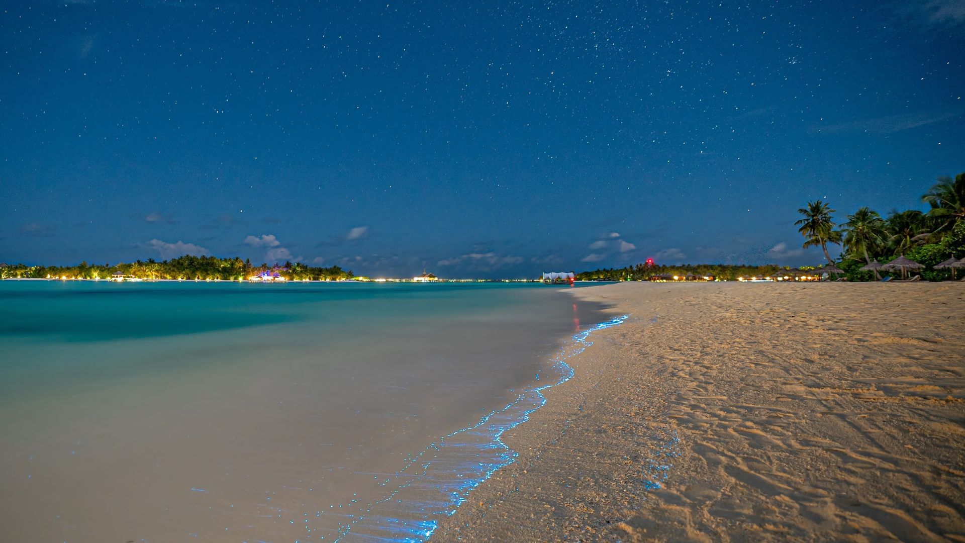Bioluminescence & Beyond