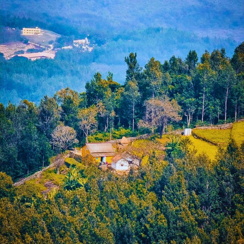 Jawai Bandh Travel Guide: By Air, By Road, By Train