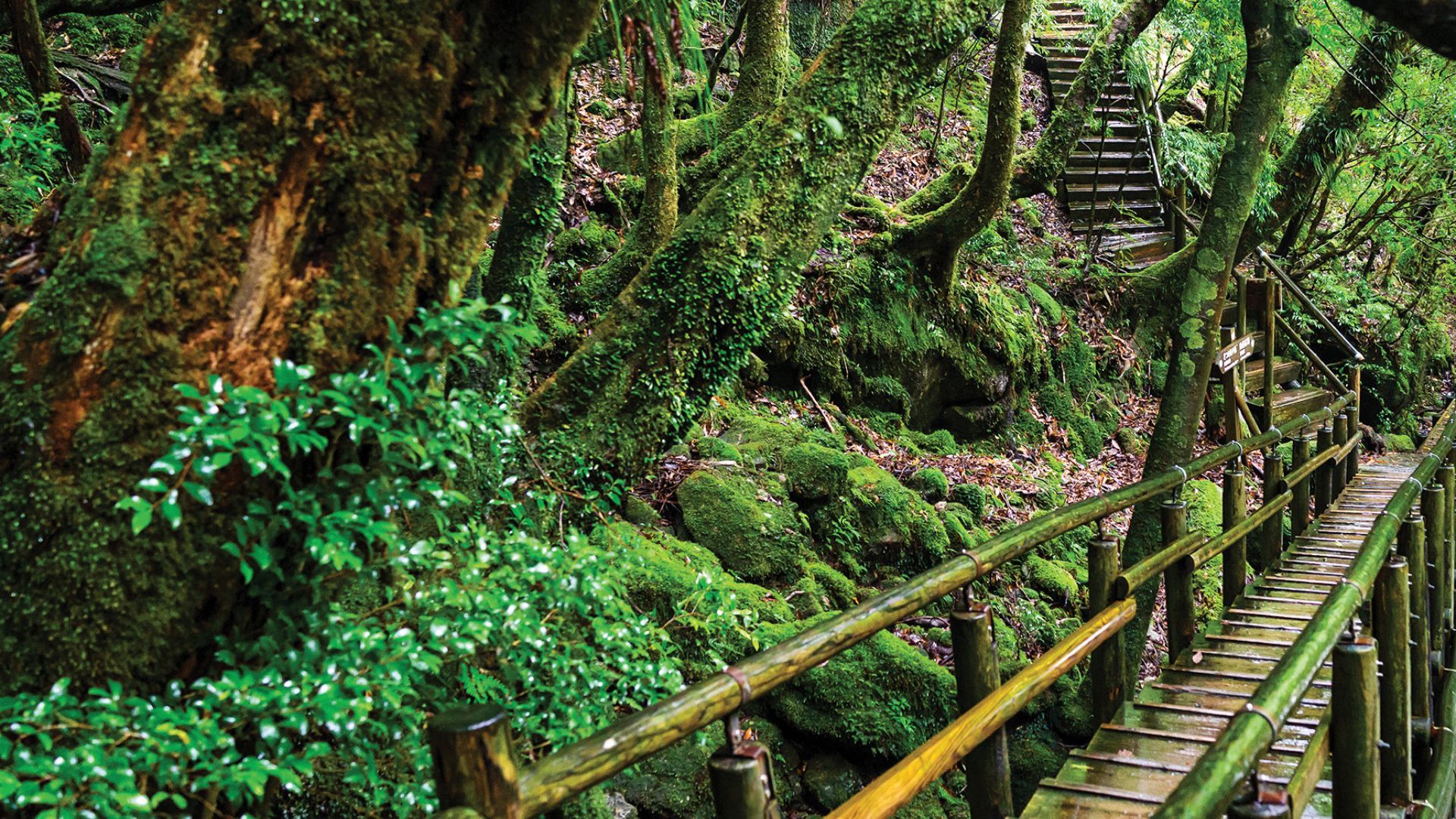 10 Transformative Wellness Escapes To Rewire The Senses