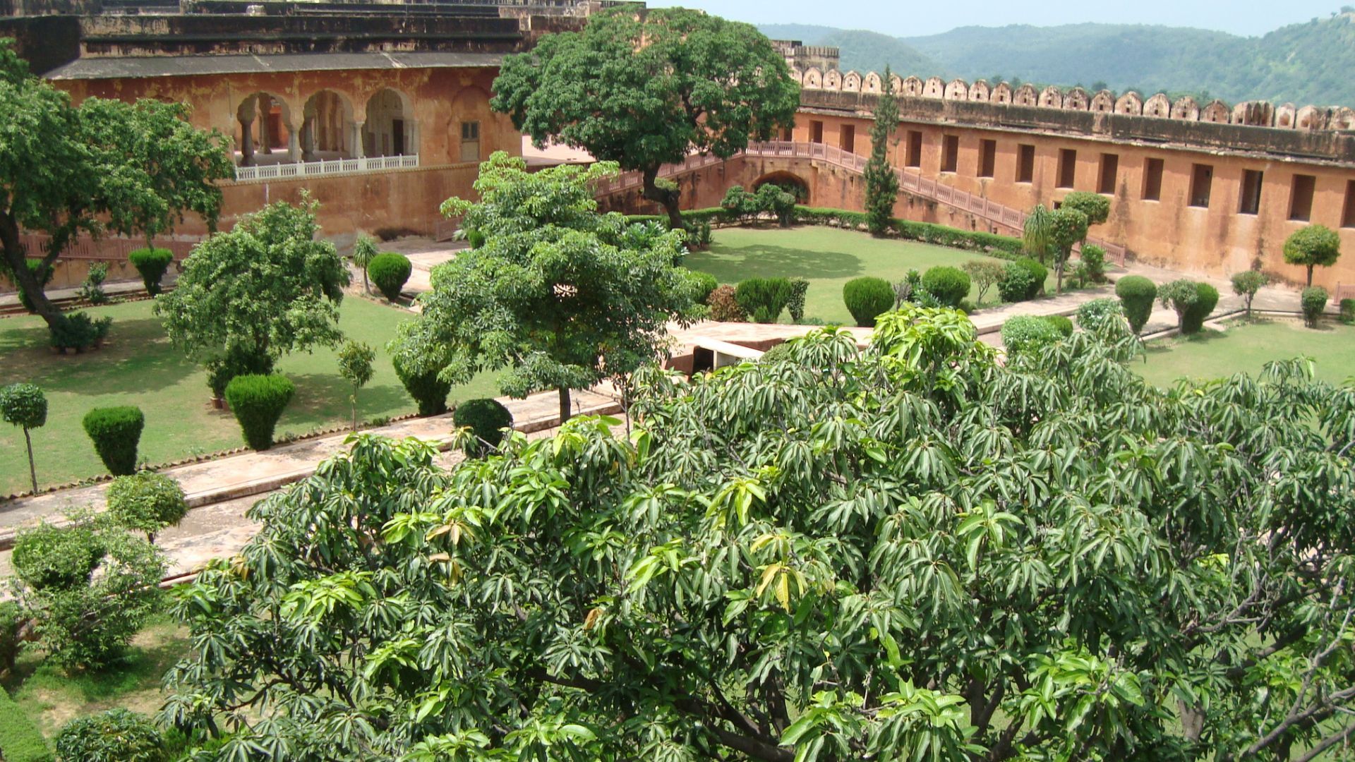 The Quiet Therapy Of India’s Green Spaces: Healing in Nature