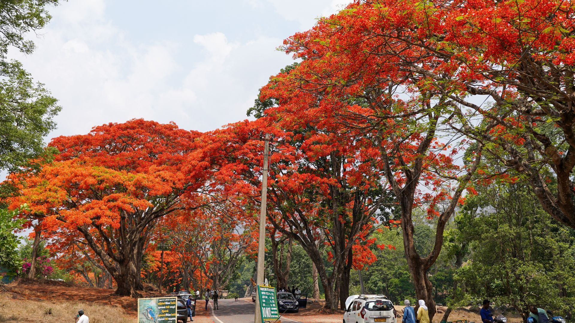 The Quiet Therapy Of India’s Green Spaces: Healing in Nature
