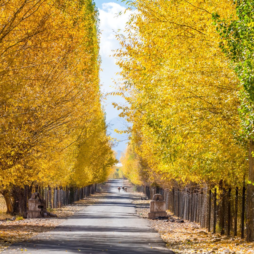 Places To Visit Near Chennai: The Best Side Trips To Take