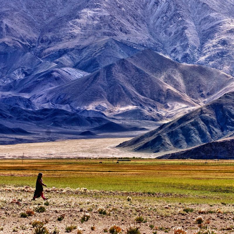 You Can Take A Virtual Tour Of These 7 Botanical Gardens From Around T