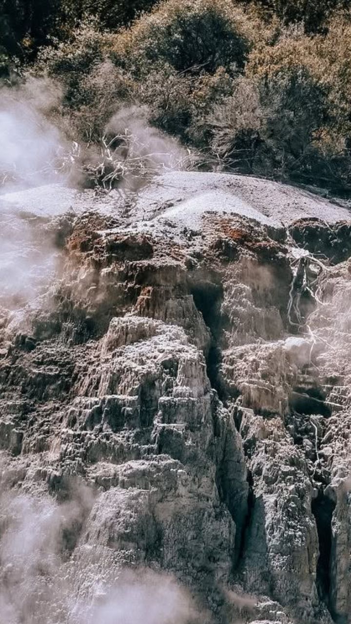 Hell's Gate In New Zealand: Location, Best Time To Visit And More