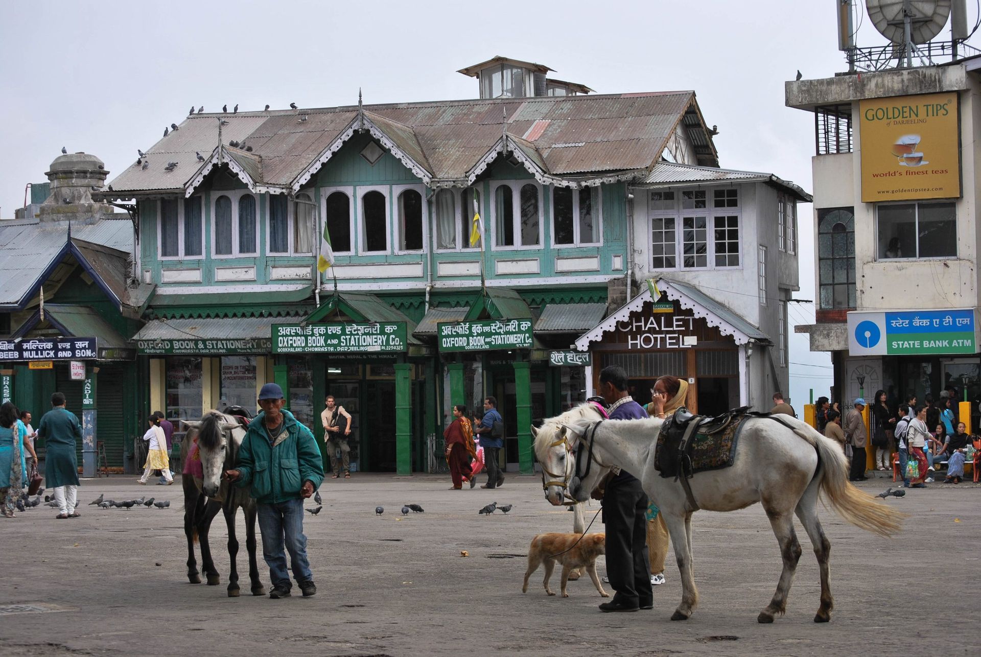 From Tea Estates To Temples: Best Places To Visit In Darjeeling