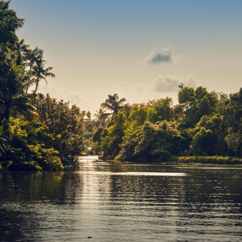 Mahabaleshwar Tourist Places: So Much More Than Meets The Eye!