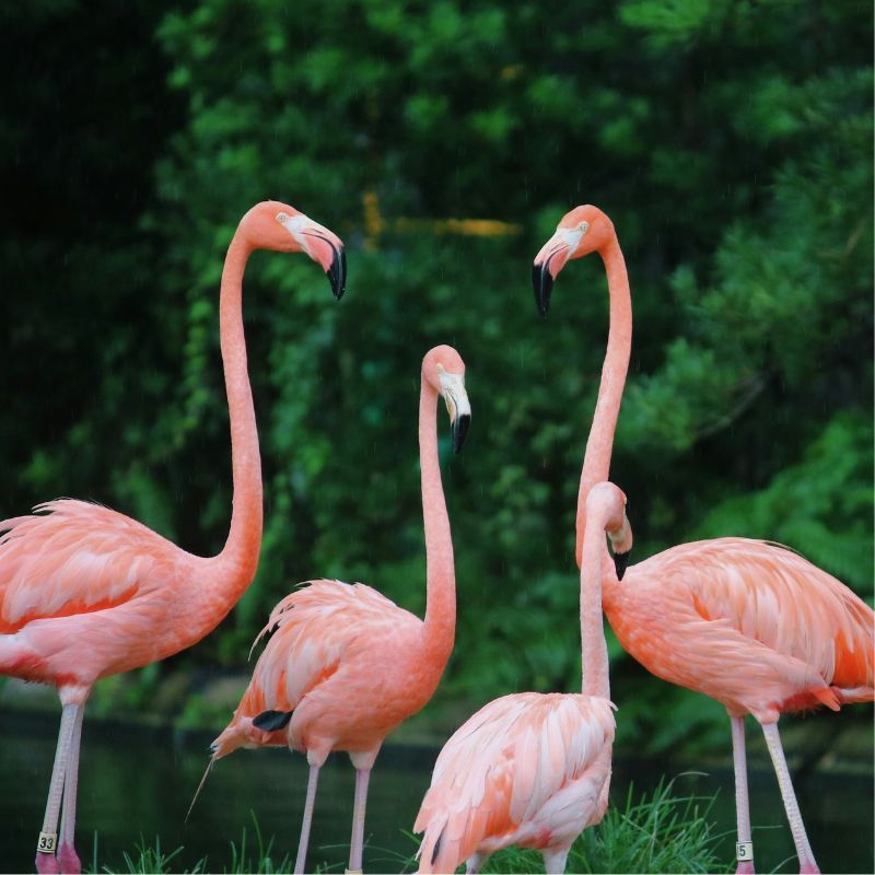 Southeast Asia's Hidden Gems That Should Be On Your Bucket List