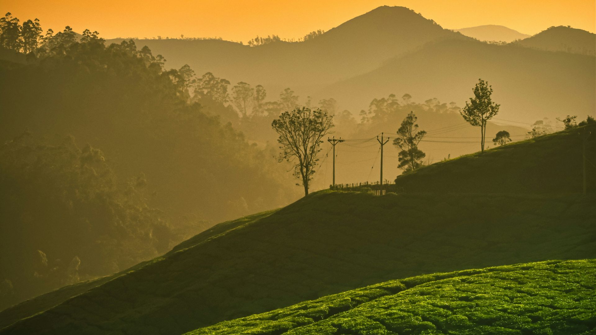 Trips From Kochi: Stunning Nature Escapes For Your Next Holiday