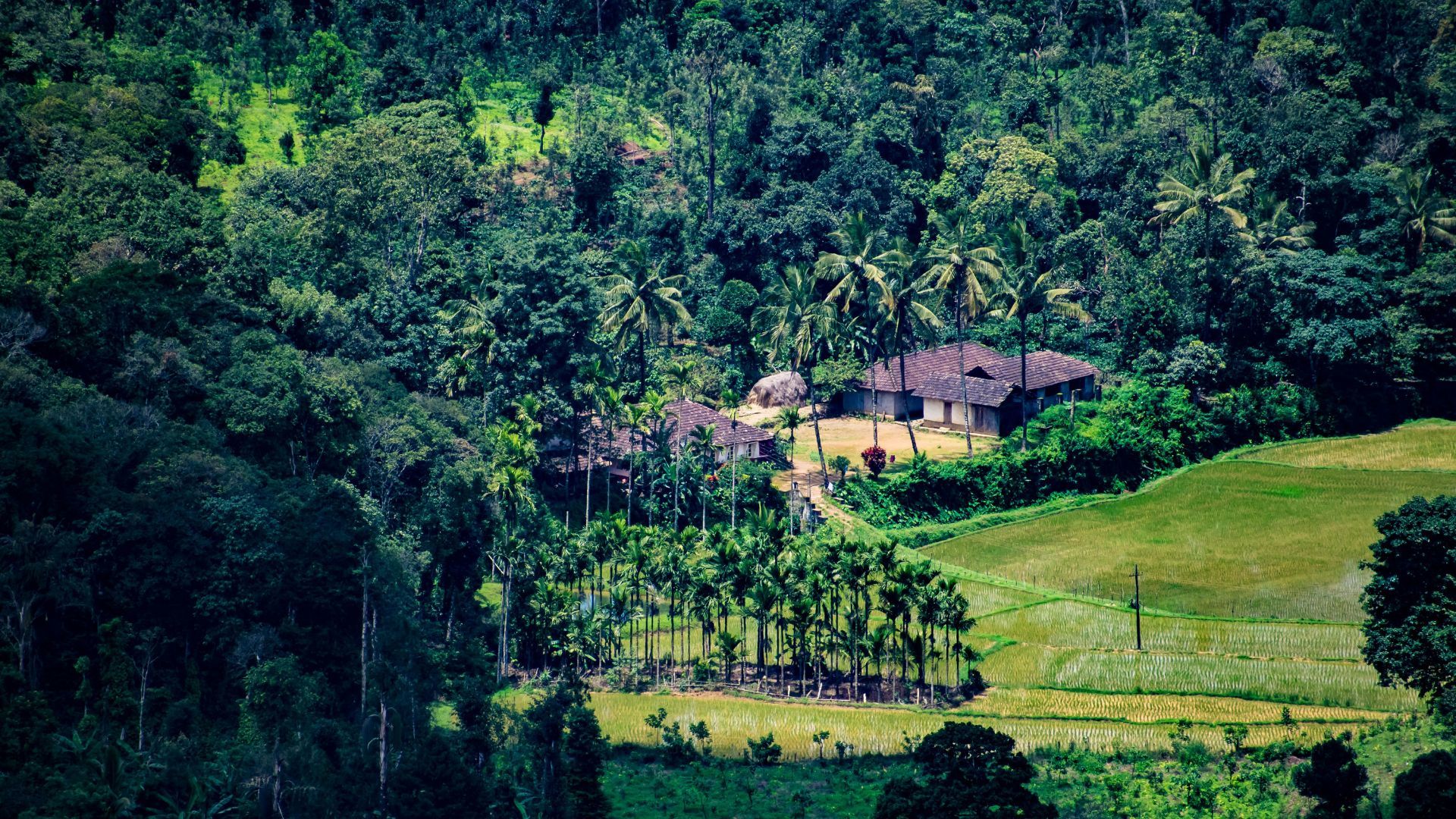 Coorg Food: Culinary Magic From Its Rivers, Forests And Vast Fields