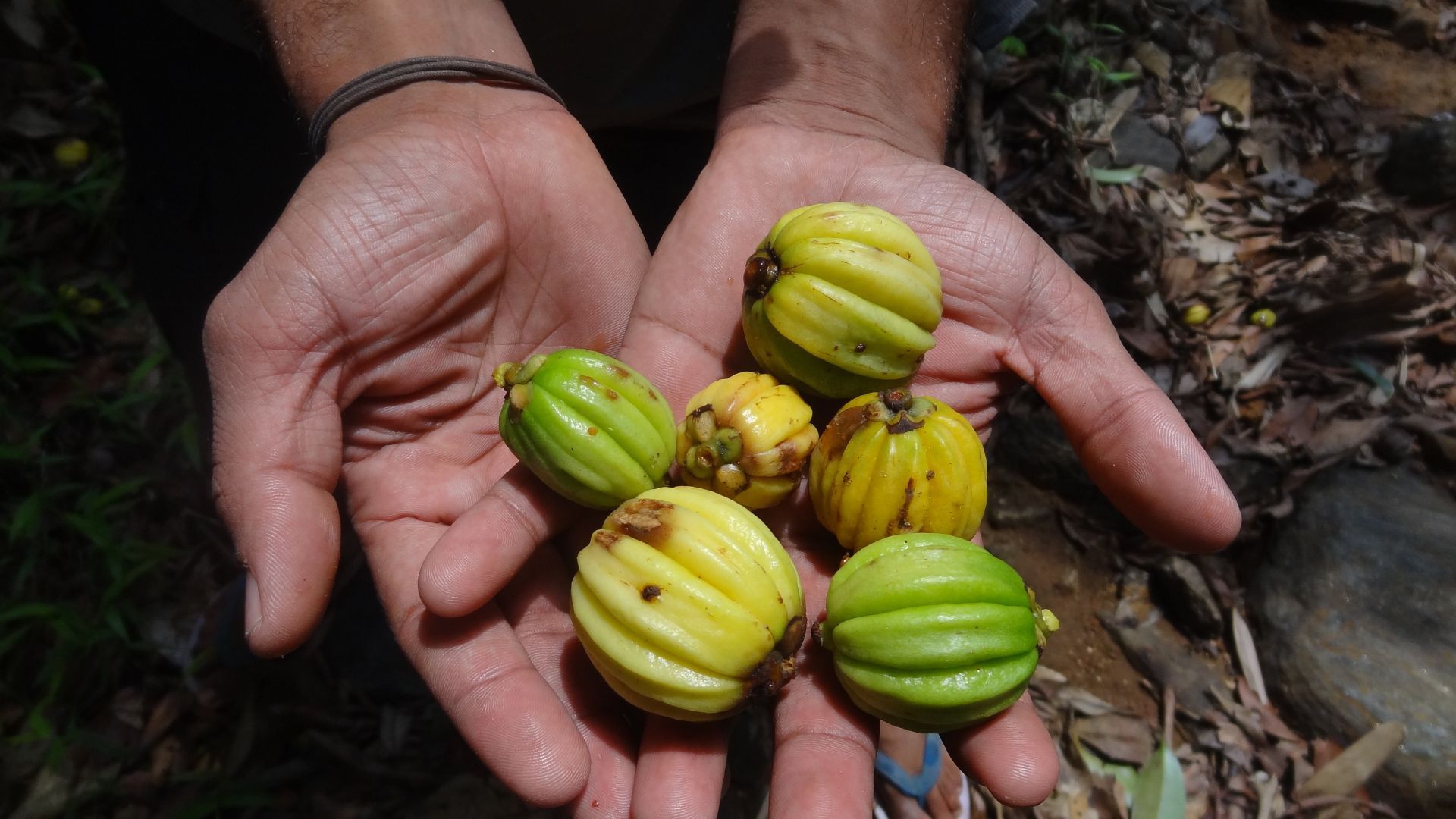 Coorg Food: Culinary Magic From Its Rivers, Forests And Vast Fields