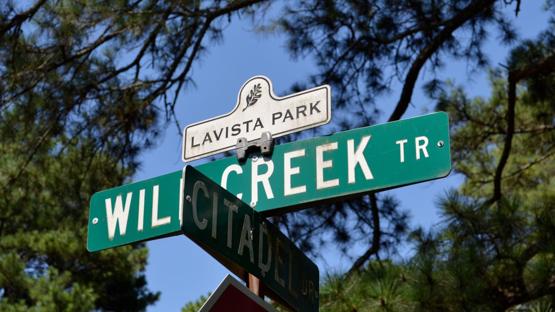 Stranger Things Season 5: Actual Locations Where The Series Was Filmed