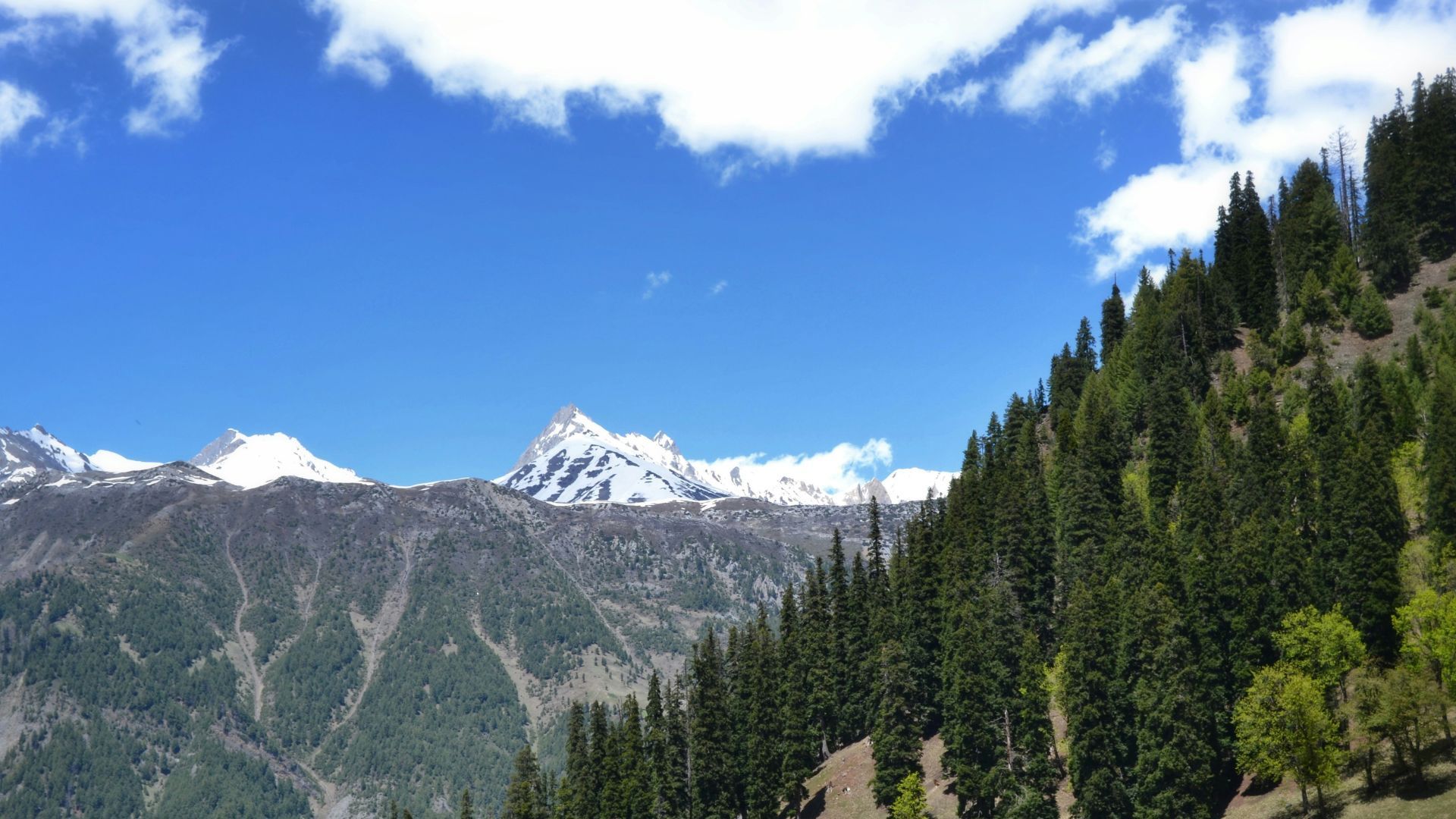 Things To Do In Jammu: A Simple Guide To Planning Your Trip Better