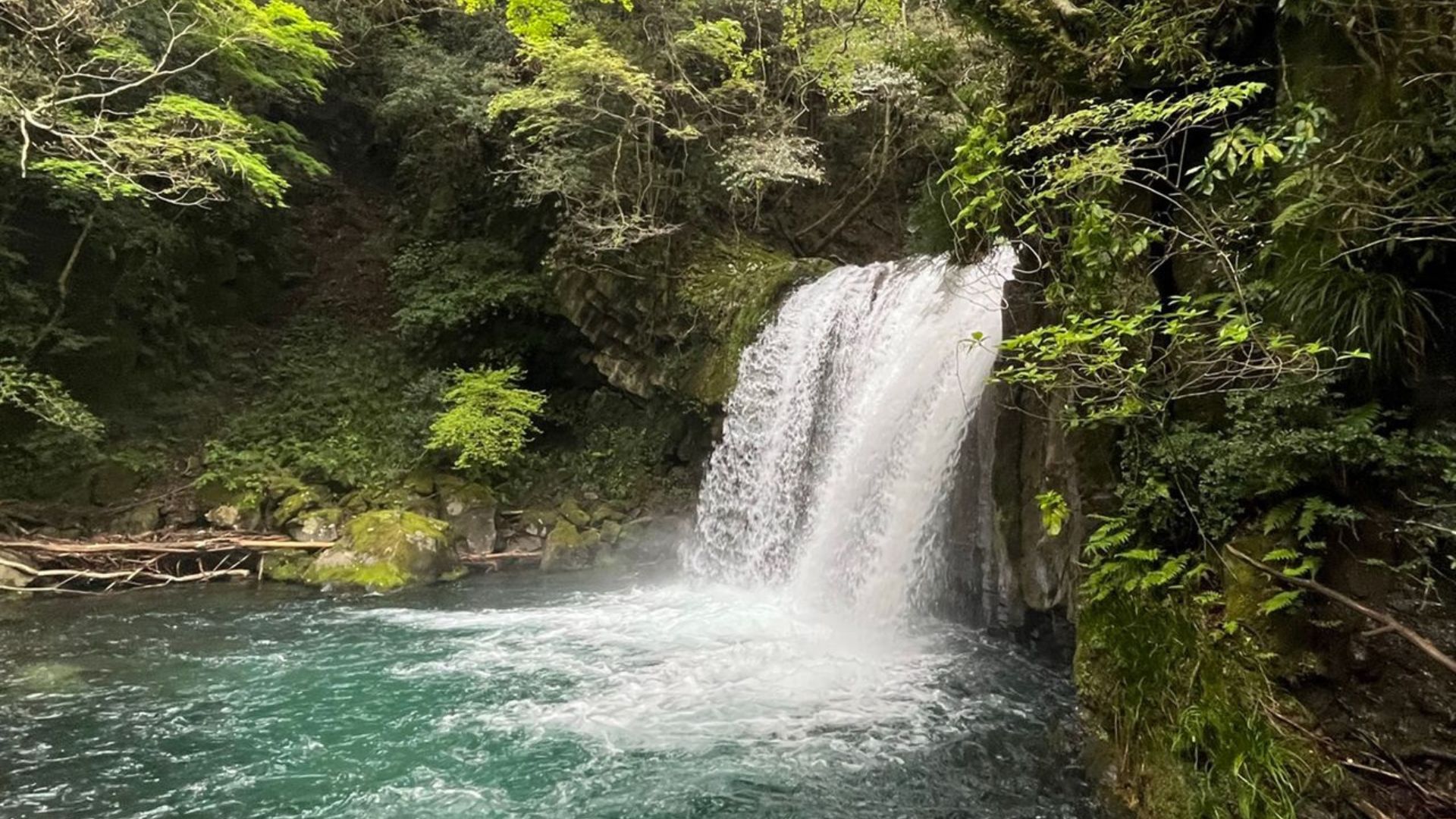 The Ultimate Travel Guide To Izu Peninsula, Japan