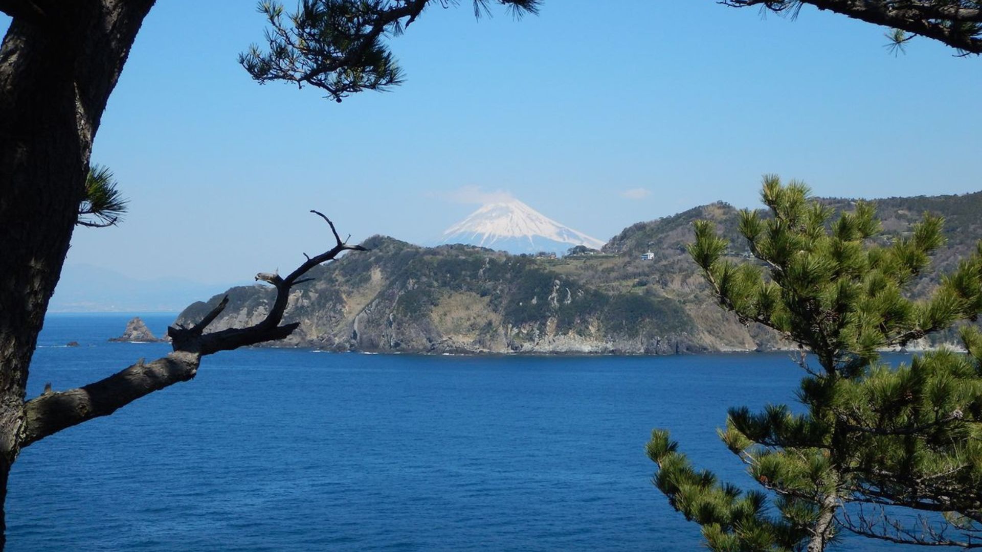 The Ultimate Travel Guide To Izu Peninsula, Japan
