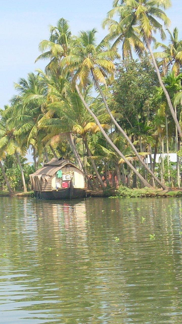 Everything You Need To Know About Kuttanad