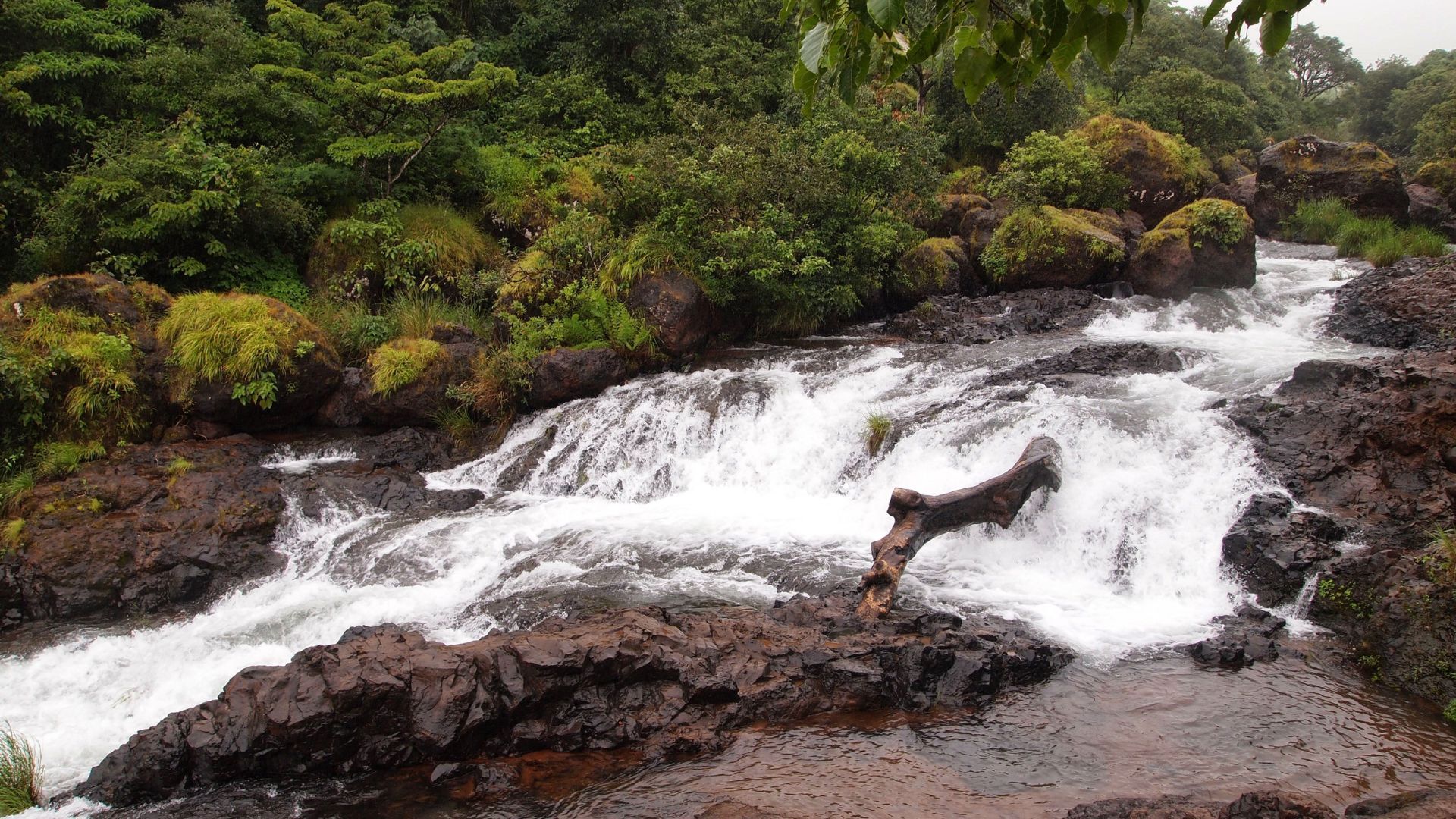 Places To Visit In Satara: A Meld Of Forts, Forests, & Scenic Landscapes