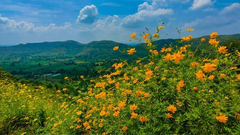 Places To Visit In Satara: A Meld Of Forts, Forests, & Scenic Landscapes