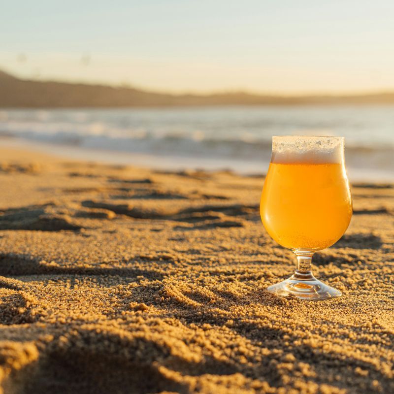 Regional Alcohols Of India: Travel To Diverse Landscapes For Local Spirits