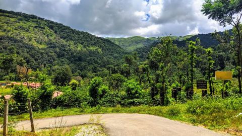 Things To Do In Coorg Beyond Its Forests, Waterfalls And Coffee Trails