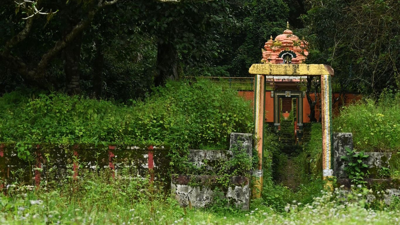 Things To Do In Coorg Beyond Its Forests, Waterfalls And Coffee Trails
