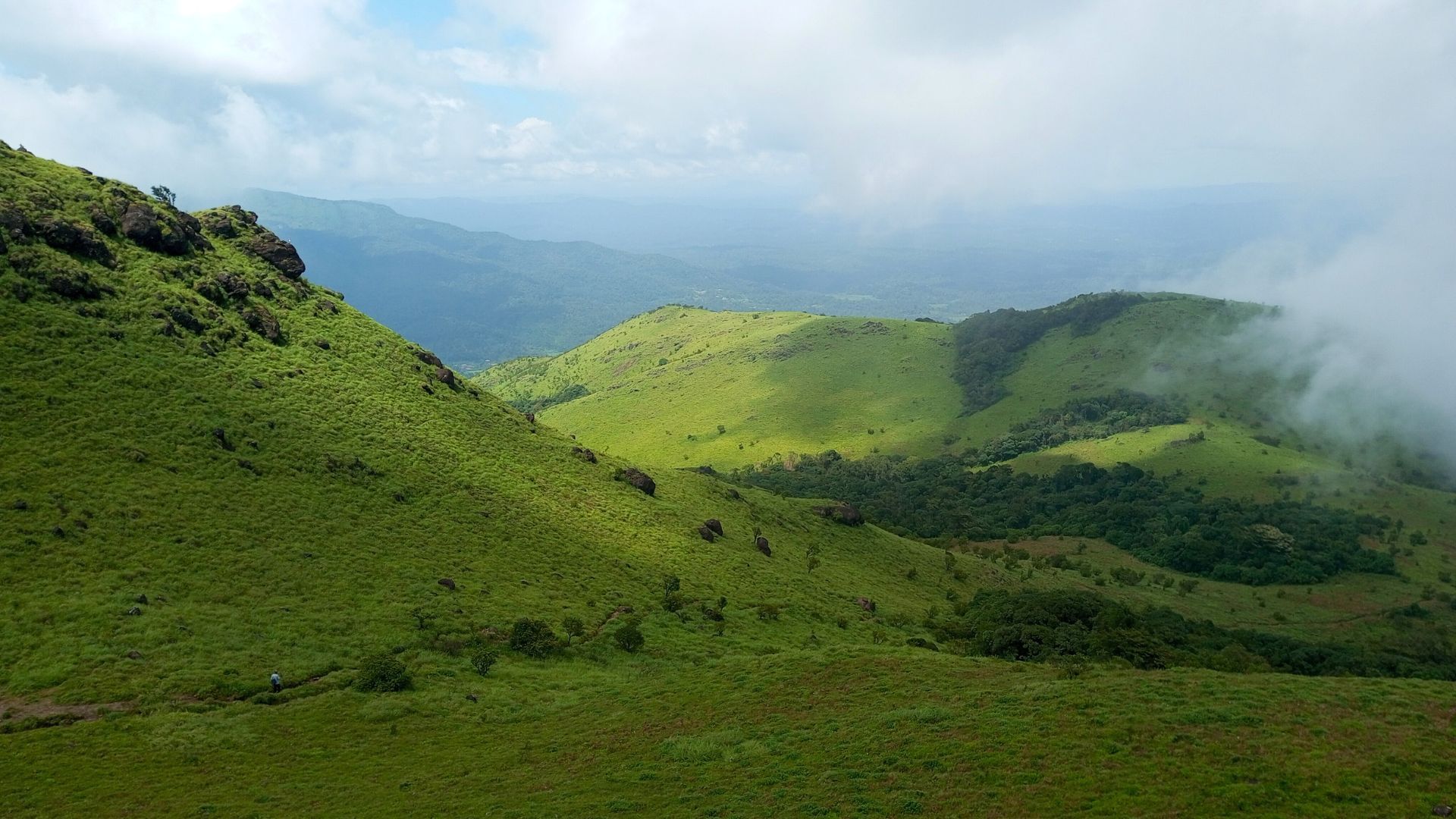 Resorts In Coorg: 7 Best Forest Retreats For A Tranquil Nature Escape