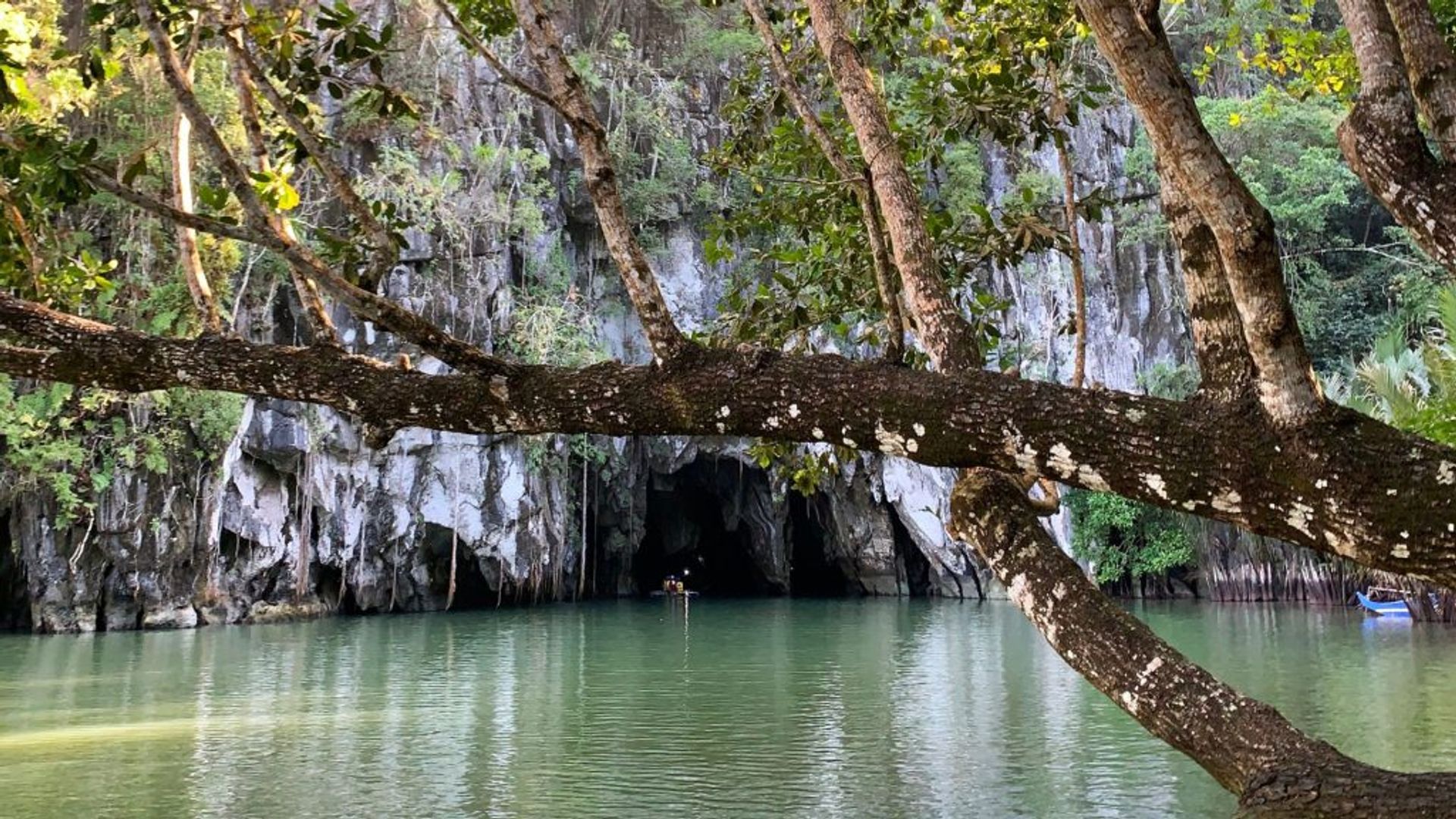 A Guide to Subterranean Travel Across Continents