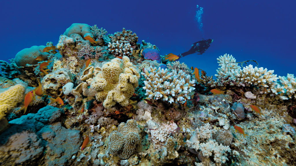 From Hammams To Meteor Showers: The Red Sea Is Having A Moment