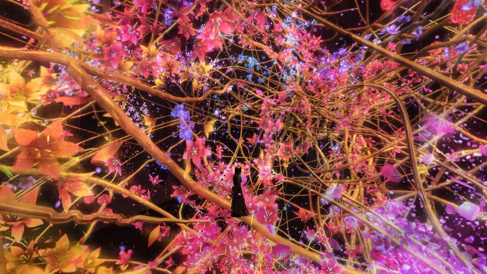 Which TeamLab Should You Visit in Japan — Tokyo, Osaka, or Kyoto?