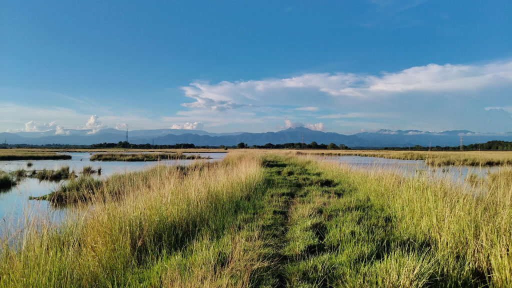 I Visited Asia’s Second-Largest Wetland—And Found Two Worlds in One