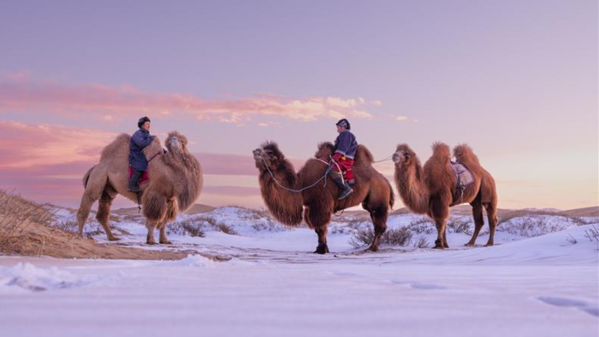 Snow In Desert? These Arid Landscapes Turn Pure White During Winter