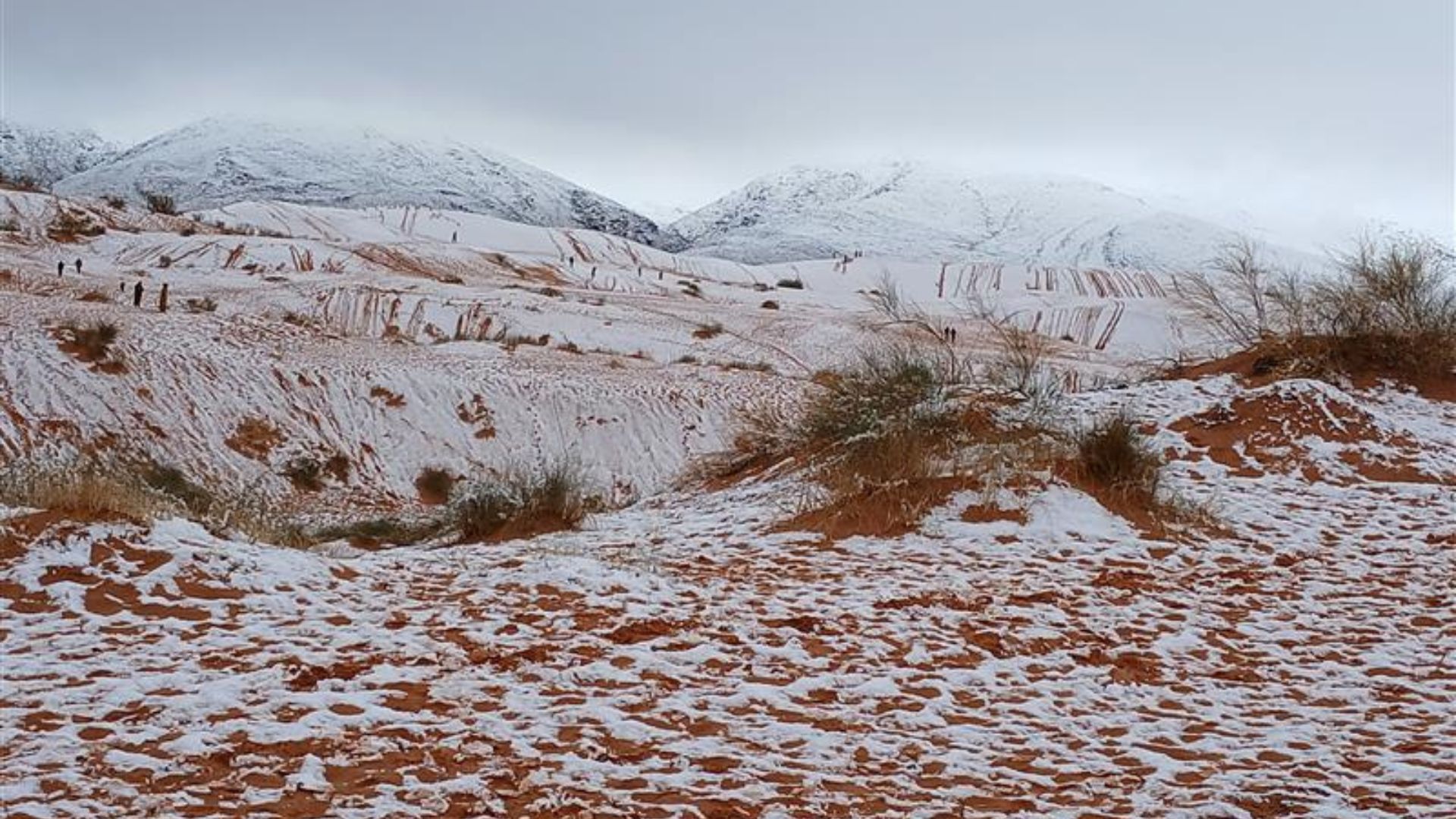 Snow In Desert? These Arid Landscapes Turn Pure White During Winter