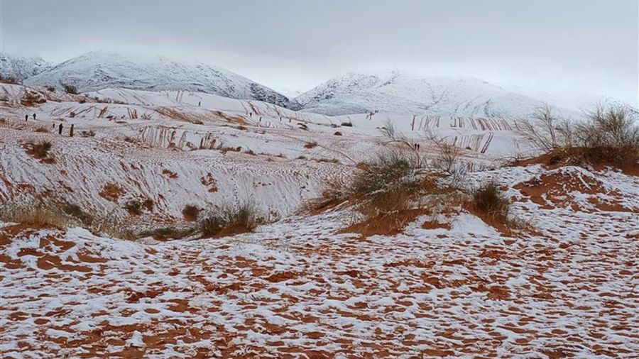 Snow In Desert? These Arid Landscapes Turn Pure White During Winter