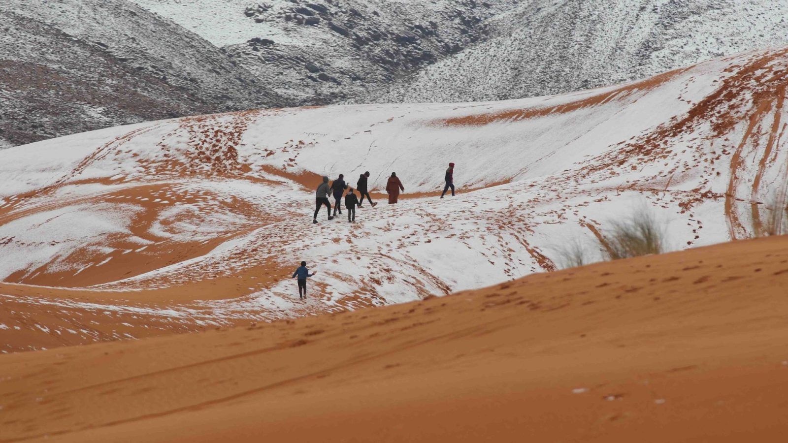 Snow In Desert? These Arid Landscapes Turn Pure White During Winter