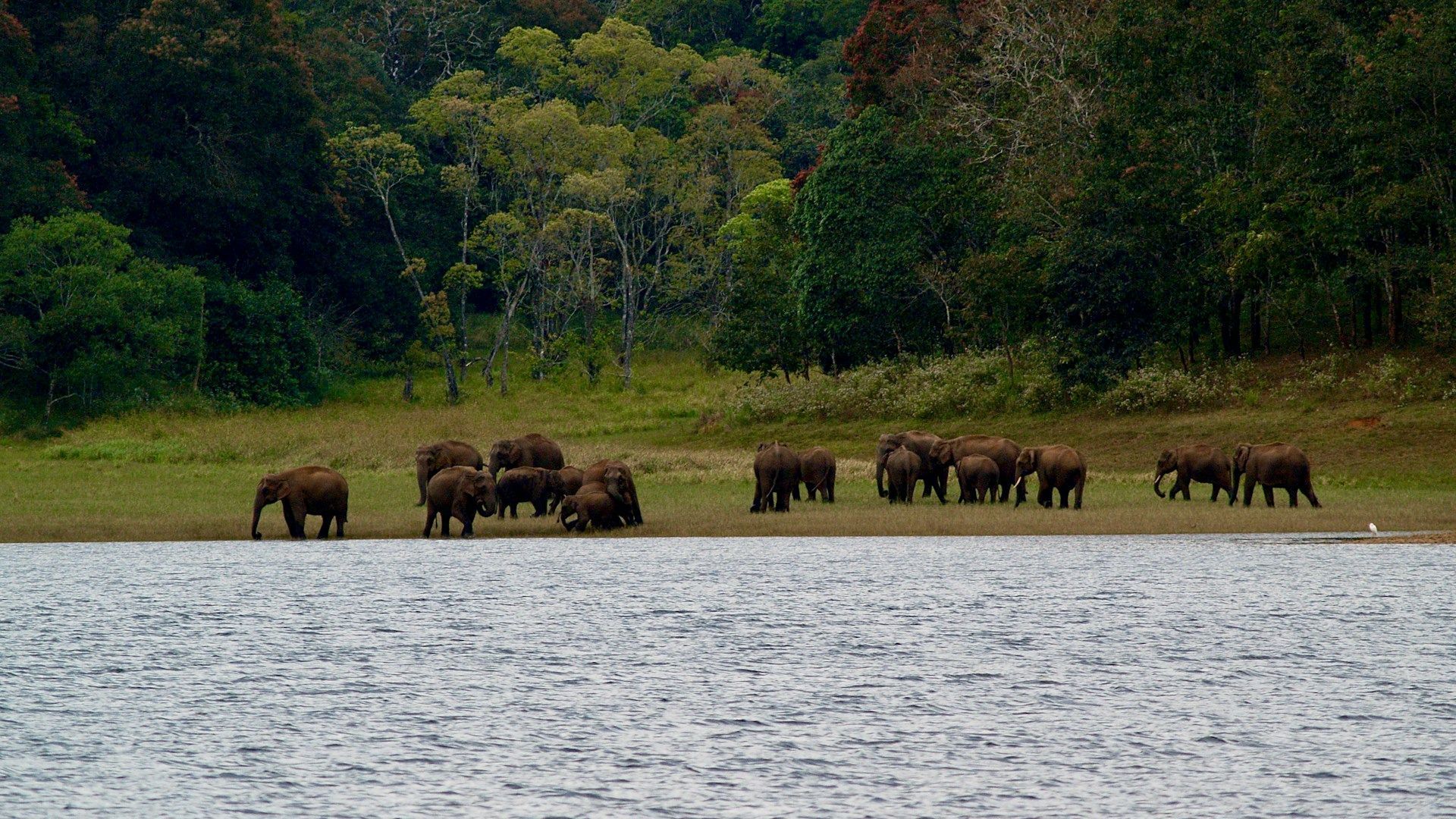Kerala In February: Why It’s The Perfect Time To Visit 'God's Own Country'