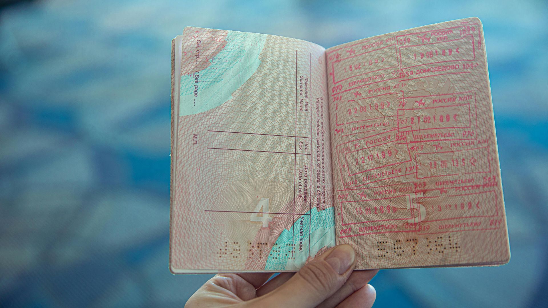 Types Of Indian Passports: A Complete Guide To Colours And Categories