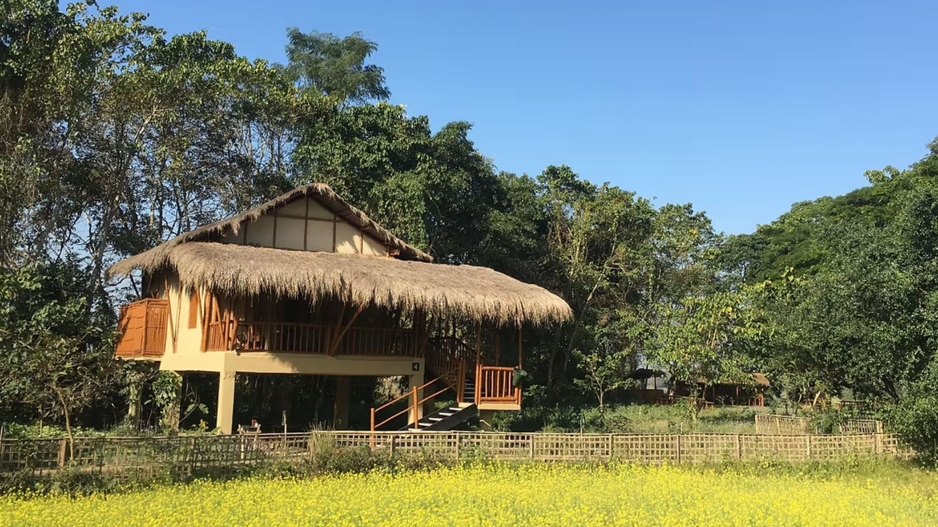 Safari Lodges In India: Stunning Stays Near National Parks & Reserves