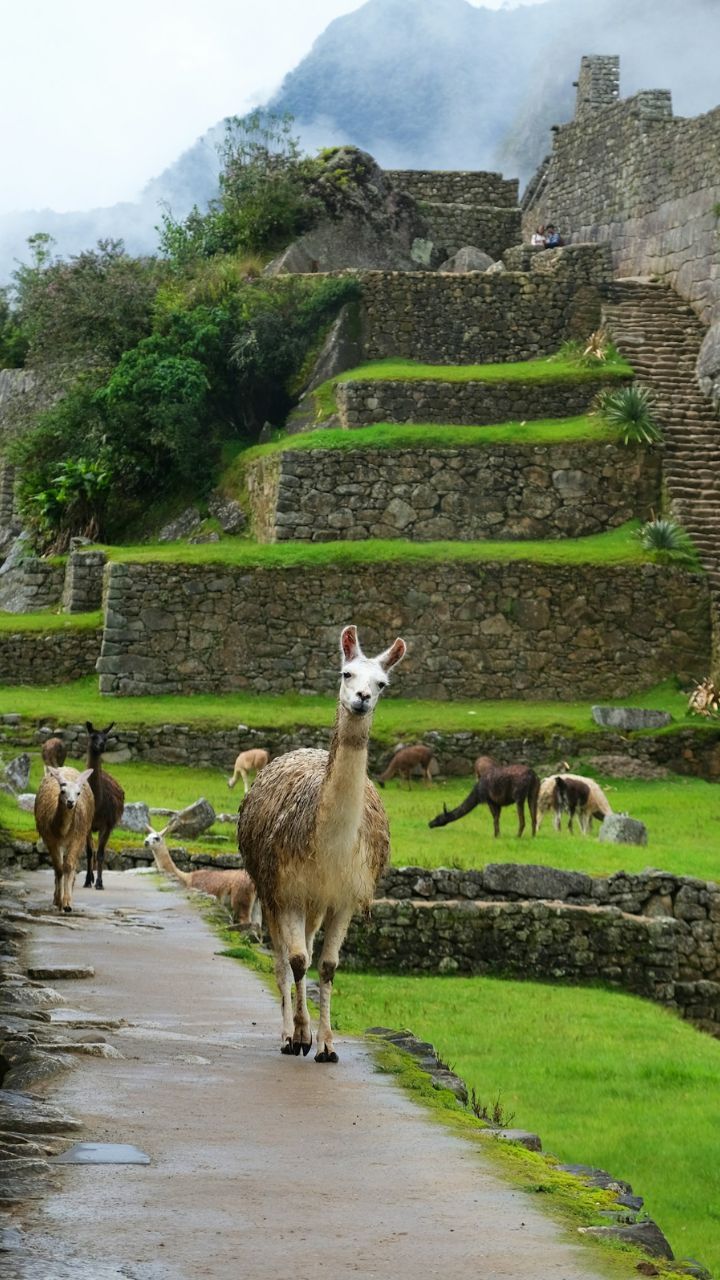 10 Fascinating Facts You Should Know About Peru