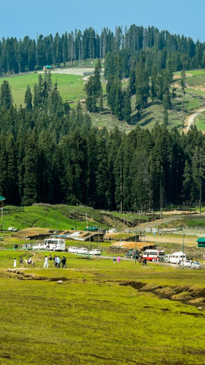 10 Best Places To Enjoy The Spring Season In India