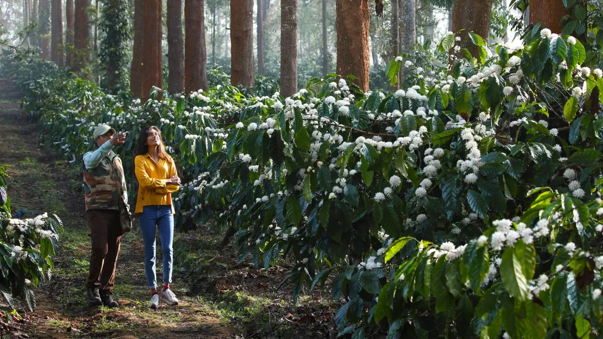 Coorg Coffee Resorts You Must Book For A Perfect Brew Getaway