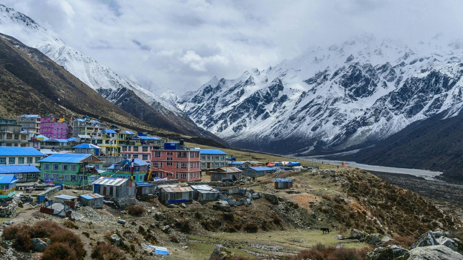 Rare March Snowfall In Sikkim’s High-Altitude Areas Draws Tourists