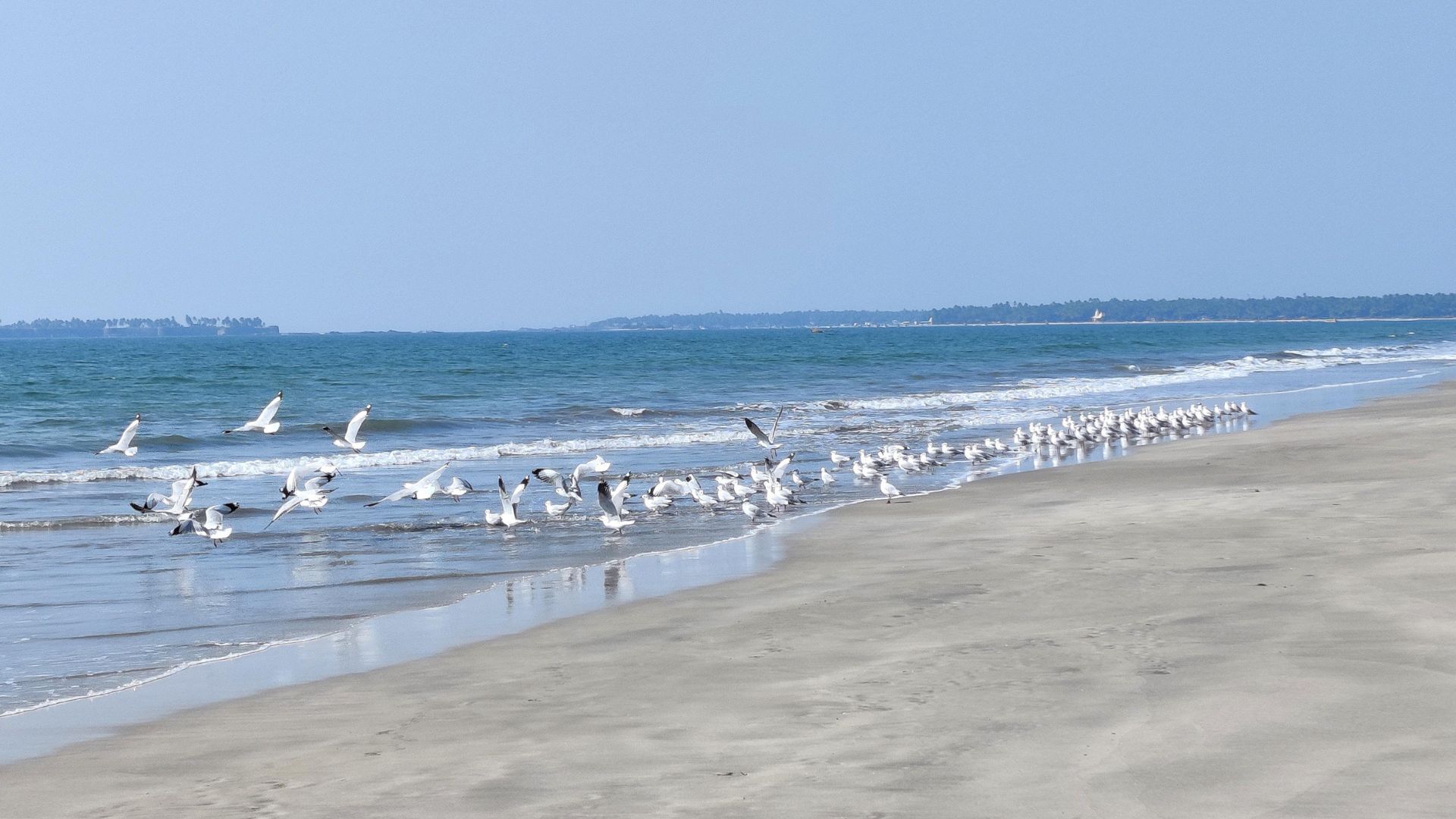 Vengurla, Maharashtra: Where I Found Slow Travel Just Beyond Goa