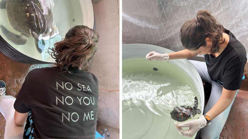 The Ocean Saves Her Every Day, So Nayantara Jain Does The Same