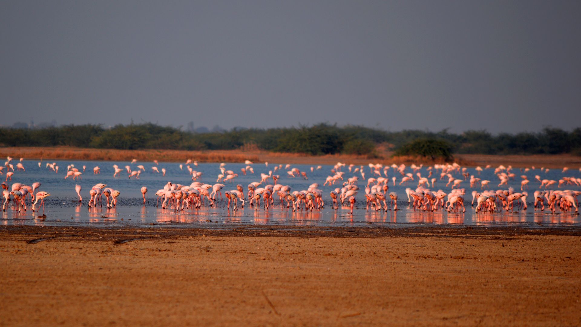 Chhari Dhand Bird Sanctuary: Visiting An Extinct Volcano & A Fiery Sunset