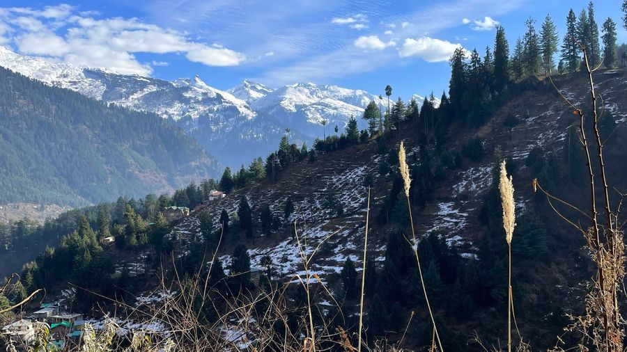 Old Manali: A Solo Traveller's Guide To The Himachali Hamlet