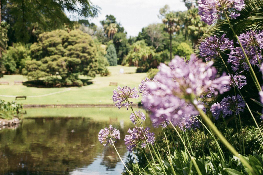 The T+L Travel Guide to Melbourne