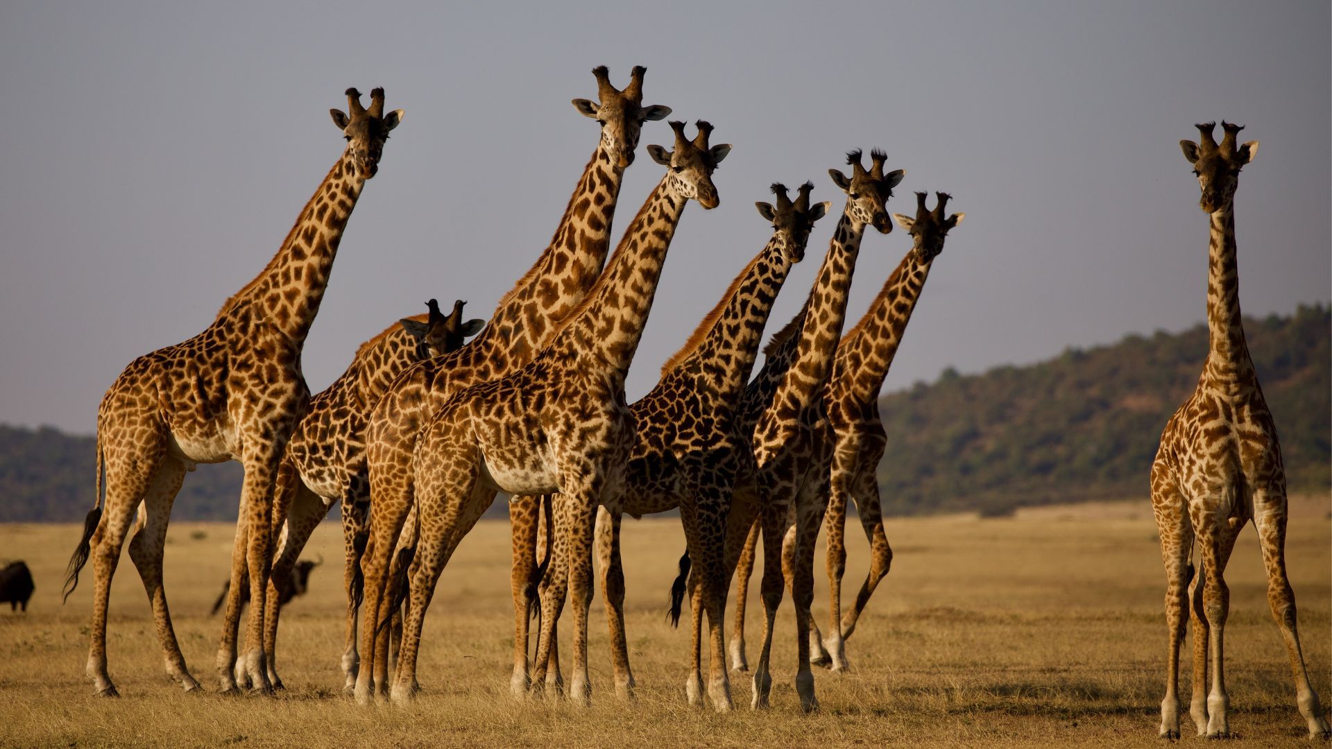 These Are The 15 Most Naturally Beautiful Countries In The World